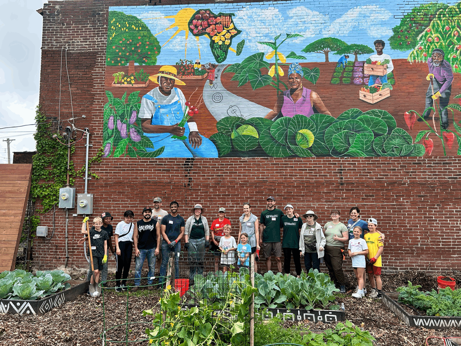 WashU Serves | In St. Louis, For St. Louis | WashU